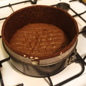 Joconde Imprime with Chocolate, Hazelnut and Raspberry Entremet ...