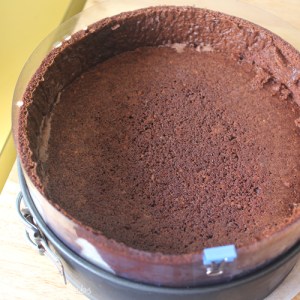 Joconde Imprime with Chocolate, Hazelnut and Raspberry Entremet ...