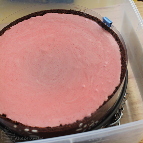 Joconde Imprime with Chocolate, Hazelnut and Raspberry Entremet ...